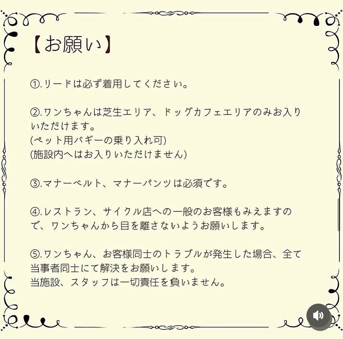 第6回BLOCK47ドッグマルシェIN岐阜羽島 開催いたします！ | BLOCK47